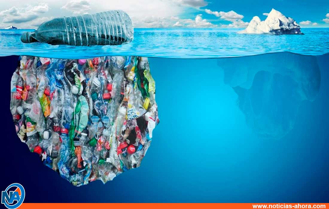 ¡Día mundial! Por preservar los océanos dependerá la salud del planeta